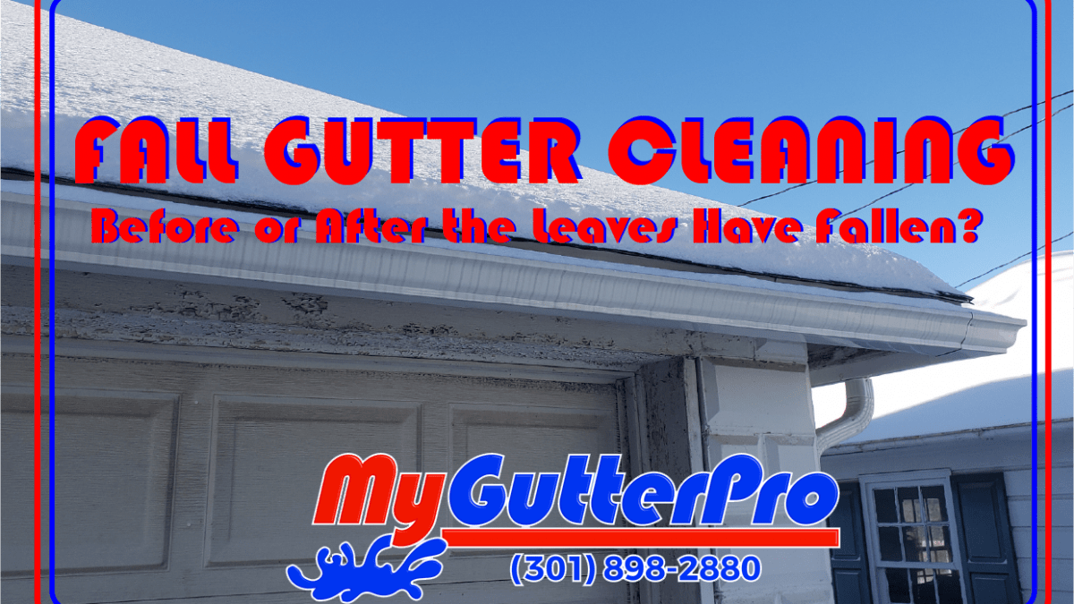 Fall Gutter Cleaning: Before or after the leaves fall? - My Gutter Pro Blog